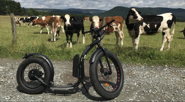 Kickbike Fat Max E-step op 1,5 meter (in Randstad) | Bedrijfsuitje.nl